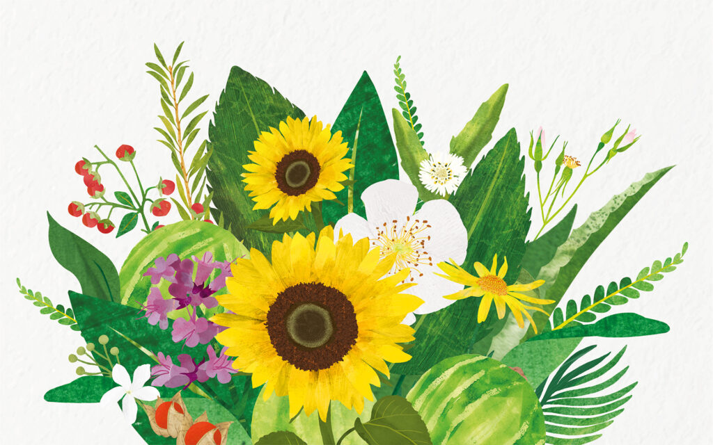 Ambika Pillai Haircare - Studio Eksaat